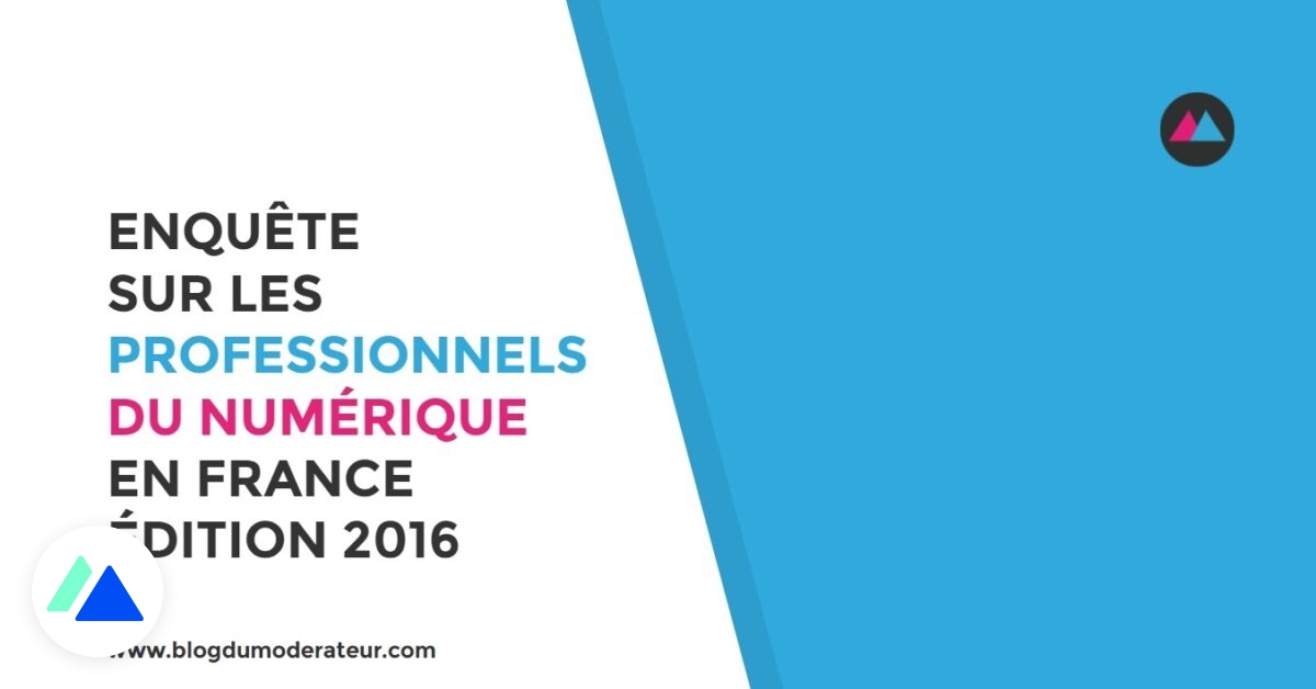 Enquête sur les professionnels du numérique en France – Édition 2016