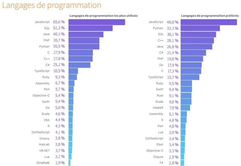 Les développeurs en France en 2017 : profil, salaire, technologies ...