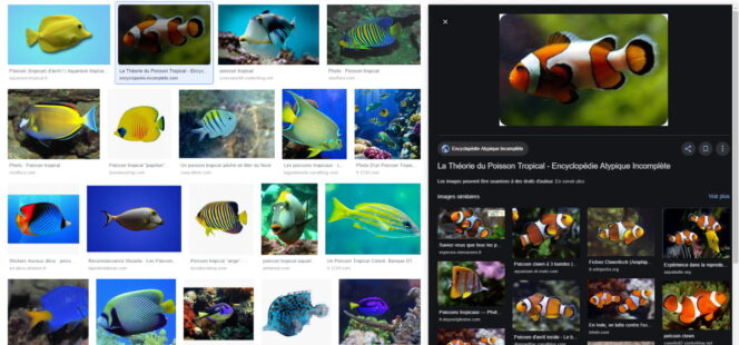 Google Images adopte un nouveau design et de nouvelles fonctionnalités