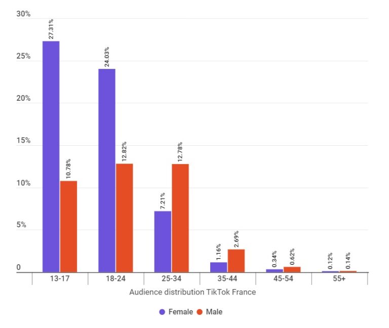 Les influenceurs sur TikTok en France : chiffres clés, audience, top 10 ...