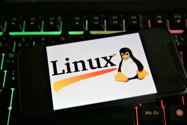Linux fête ses 30 ans