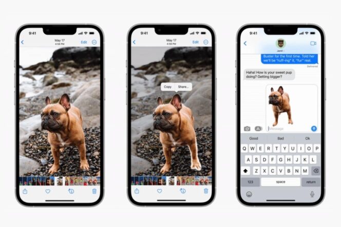 iPhone : comment utiliser la fonction de détourage photo avec iOS 16