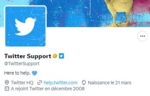 Twitter lance un abonnement pour les entreprises à 950 € par mois