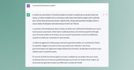 ChatGPT : notre guide pour créer les meilleurs prompts