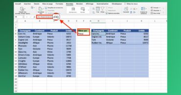 Comment filtrer sur Excel : bonnes pratiques, formules et exemples
