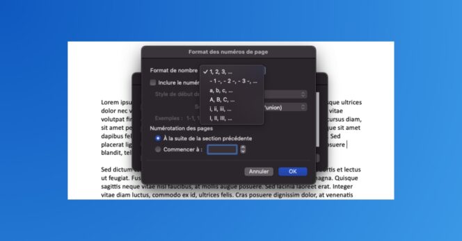 Comment numéroter les pages sur Word : les étapes à suivre Comment numéroter les pages sur Word : les étapes à suivre