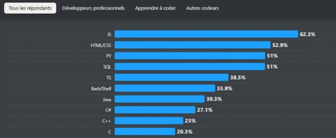 Développement web : les langages informatiques indispensables à ...