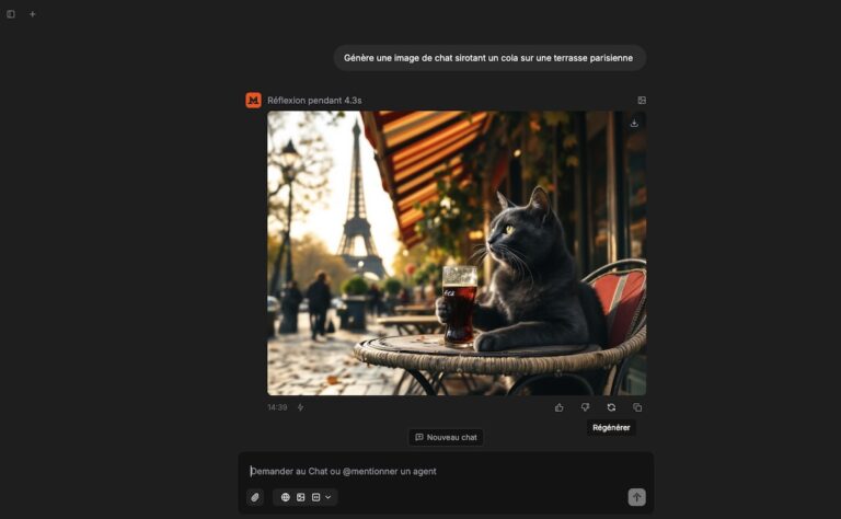 Le Chat : le guide complet pour bien débuter sur l’alternative ...