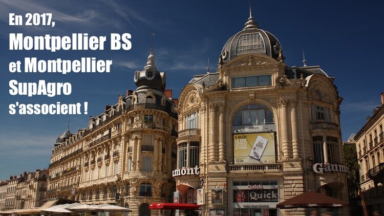 Montpellier Business School s’associe avec Montpellier SupAgro