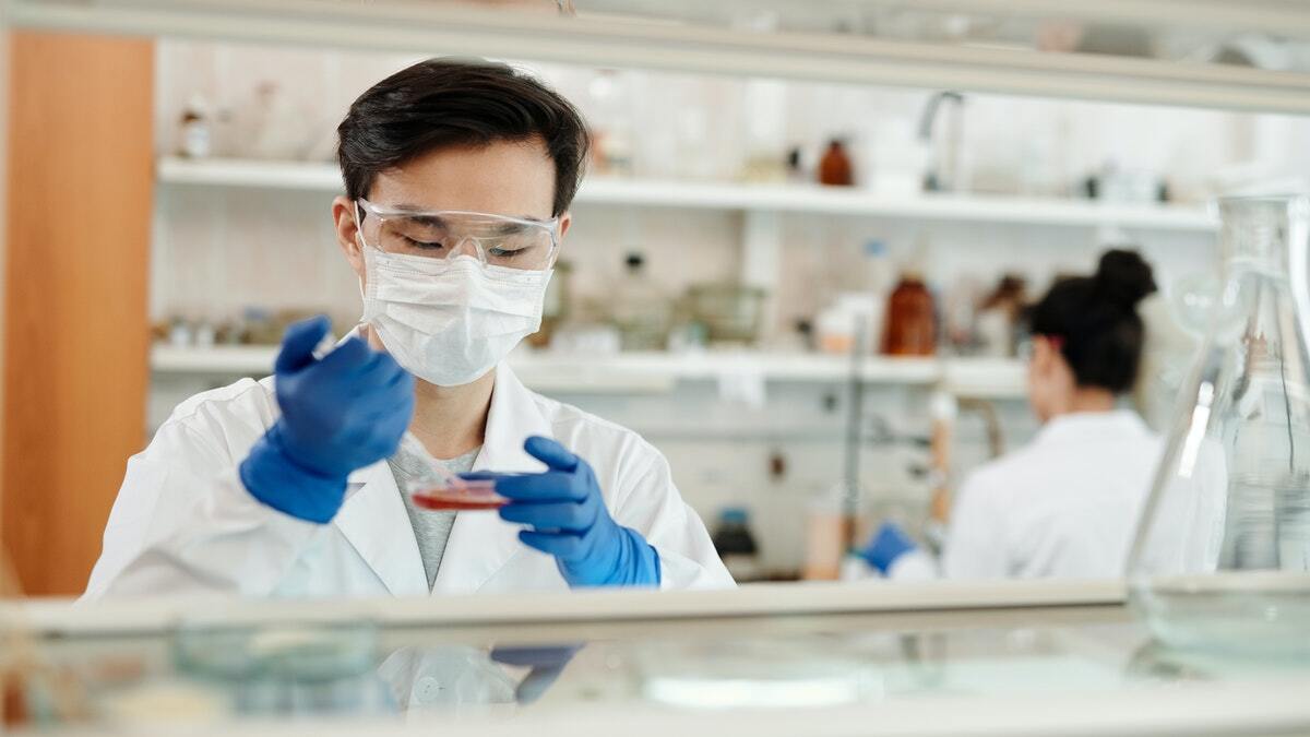 Que faire après un Bac S (Bac Scientifique)