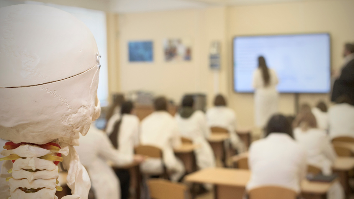 Parcoursup® 2025 : les formations les plus demandées sur la plateforme