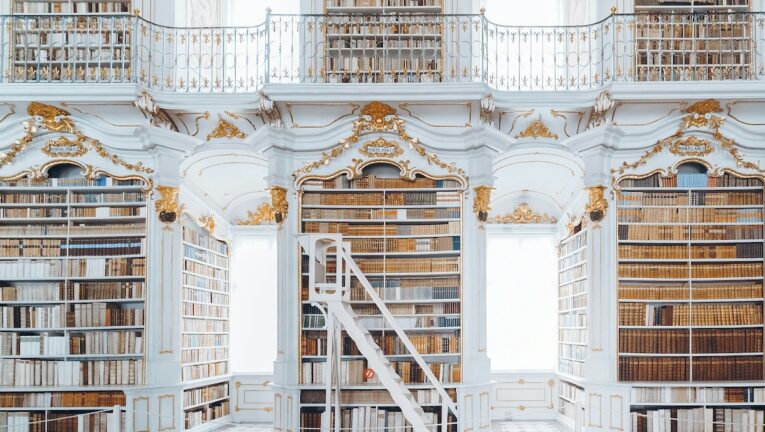 Quelles formations choisir pour travailler dans une bibliothèque