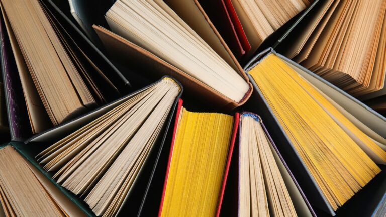 Bac 2025 : les sujets probables de l’épreuve anticipée de français