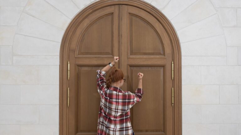 IUT Paul Sabatier de Castres - Campus, Formations et Avis | Diplomeo.com