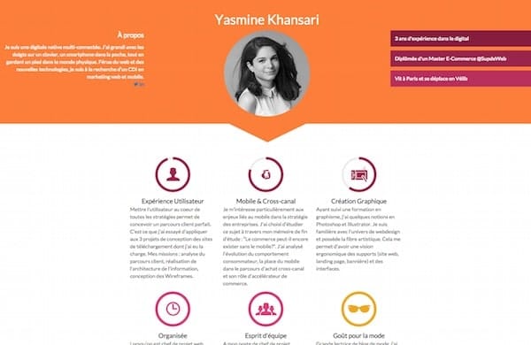 Les meilleurs CV originaux de 2015